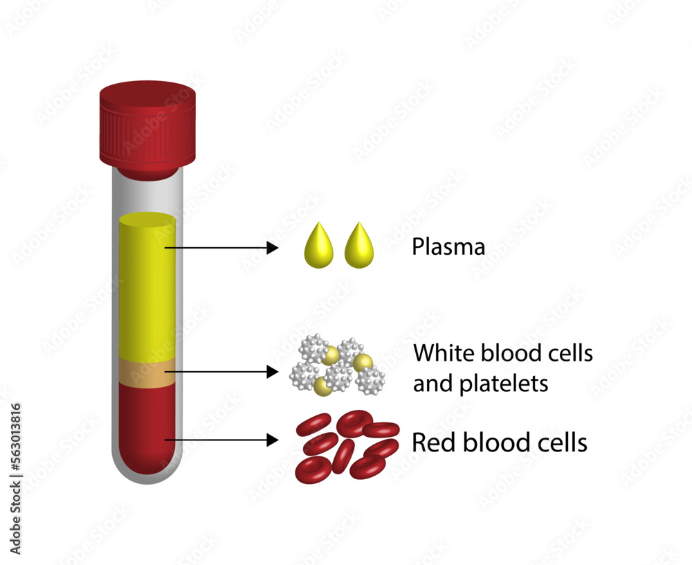 Blood Composition. Blood centrifugation. Platelets, red blood ...