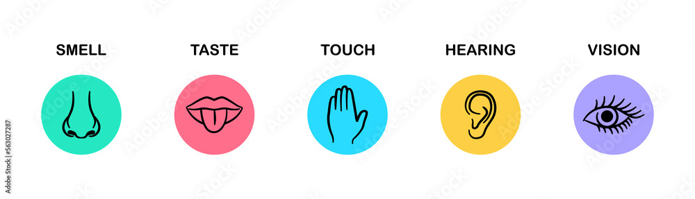 Set of five human senses. Hearing, taste, smell, sight and touch. Ear ...
