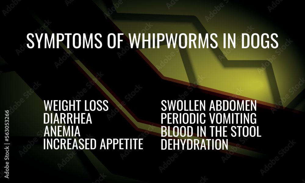 SYMPTOMS of Whipworms in Dogs. Vector illustration for medical journal ...