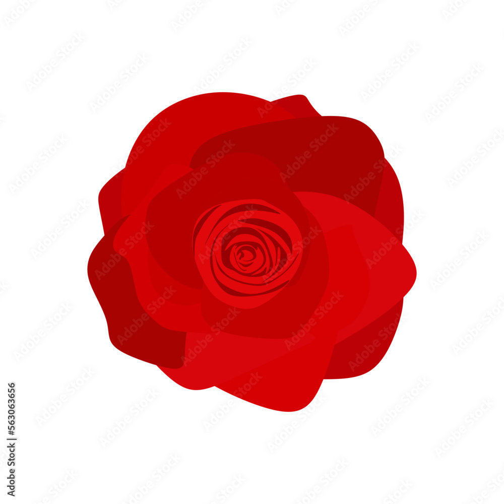 Red rose flat illustration. Rose flower top view isolated on white ...