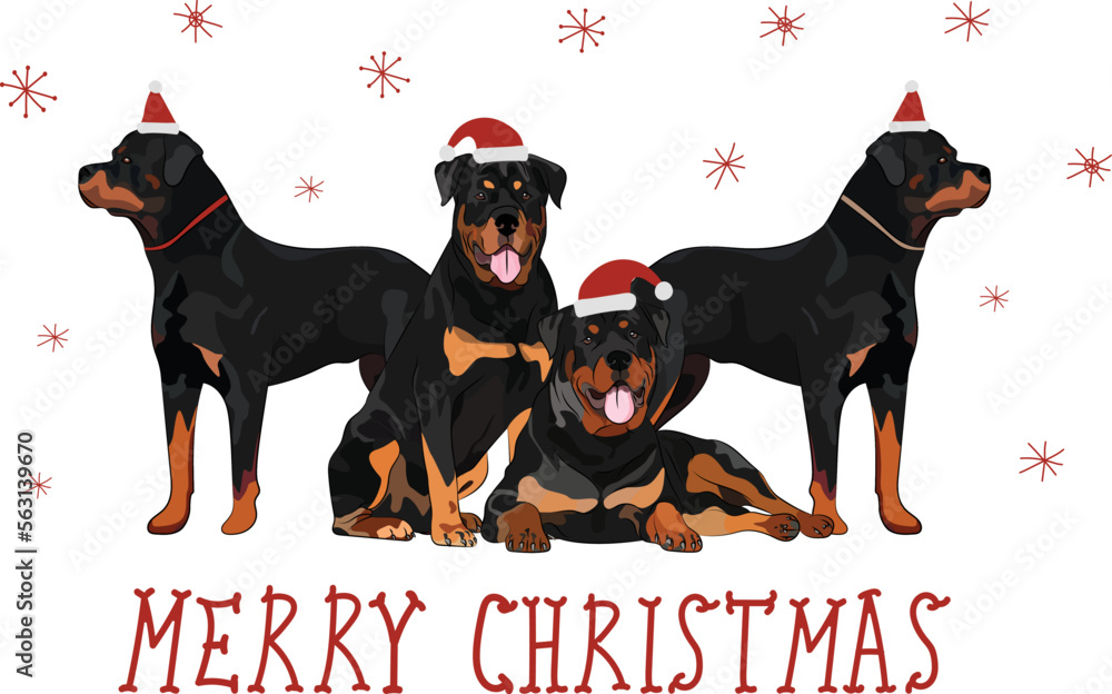 Rottweiler dog drawing. Cute dog characters in various poses, designs ...