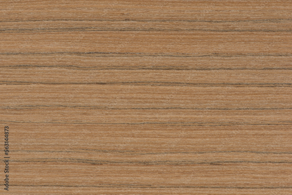 Zebra tree. Texture of brown wood with horizontal black stripes ...