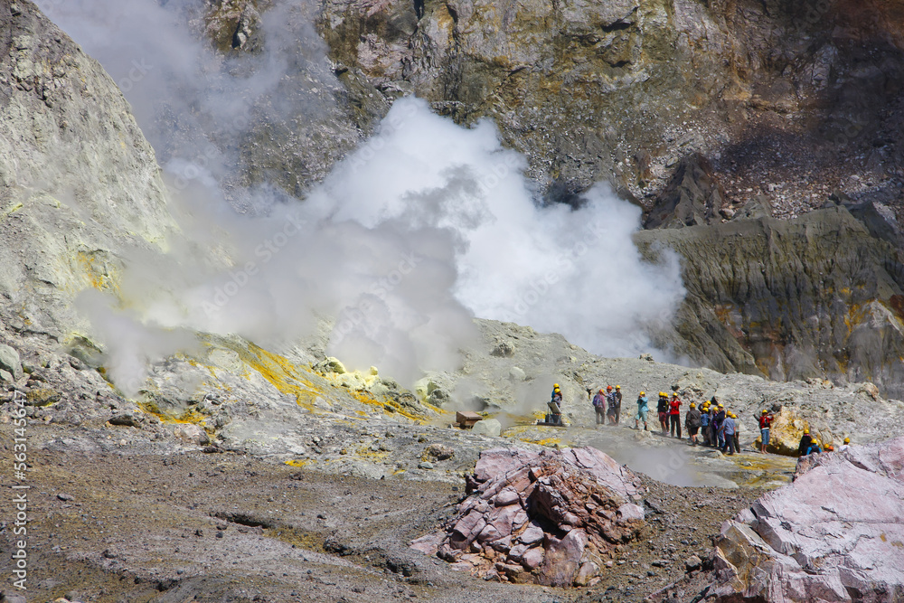 Foto de Guided tourist tour into the crater of Whakaari / White Island ...