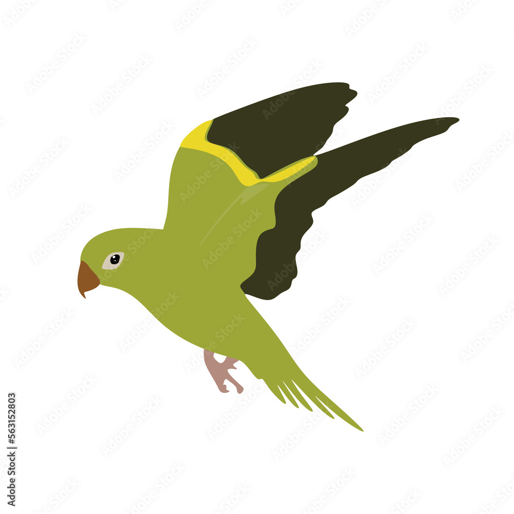 Parakeet flat illustration isolated on white background. Cartoon cute ...