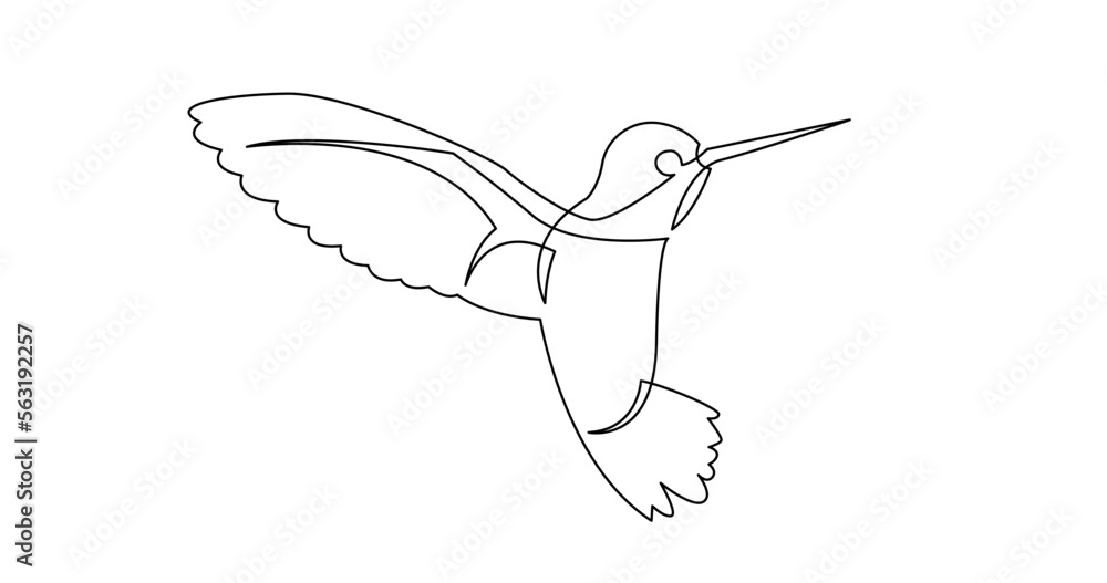 continuous line drawing vector illustration with FULLY EDITABLE STROKE ...