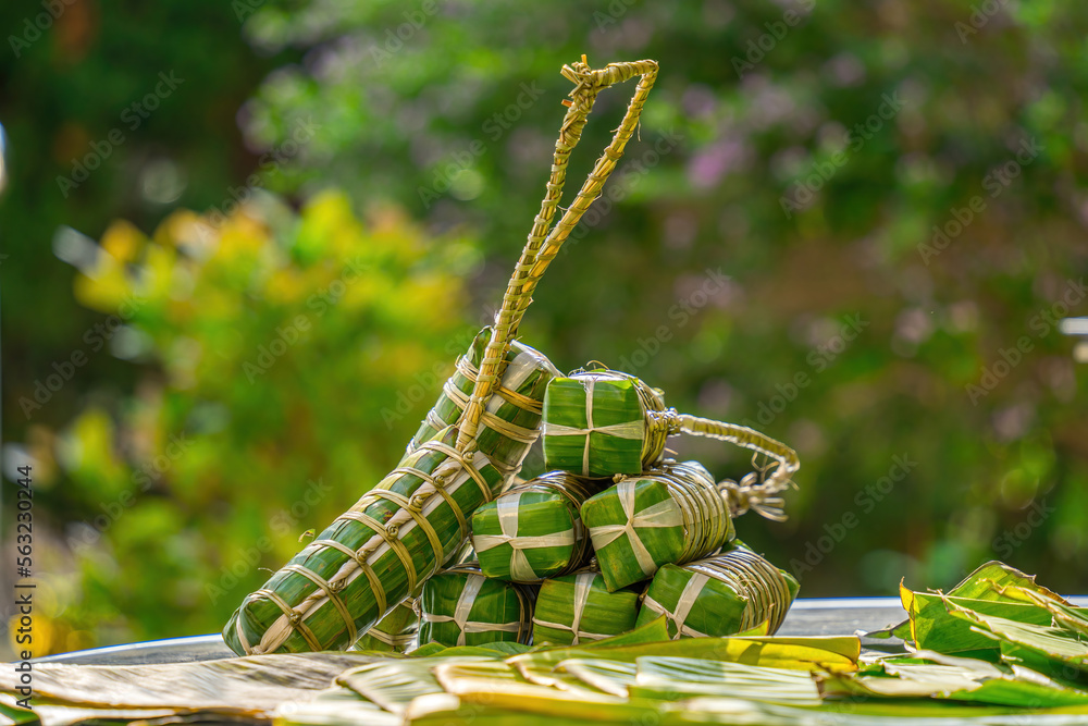 Vietnamese Sticky Rice Cake (tet cake), Vietnamese traditional new year ...