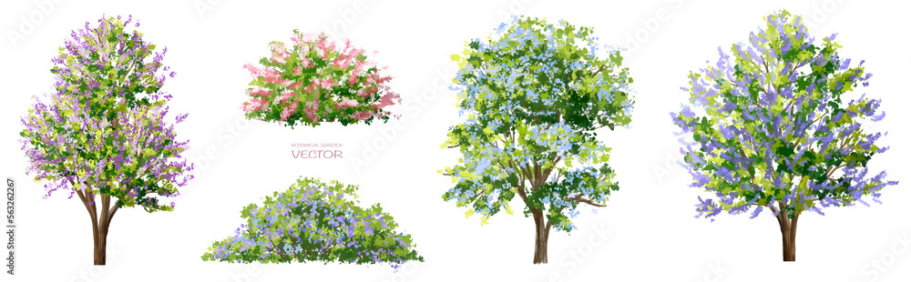 Vector watercolor blooming flower tree side view isolated on white ...