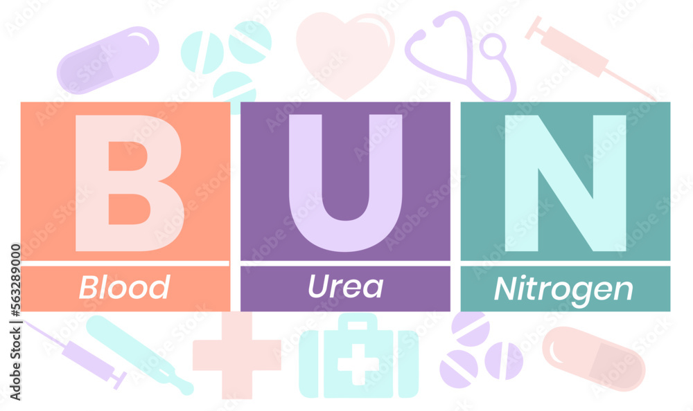BUN - Blood Urea Nitrogen acronym. medical concept background. Vector ...