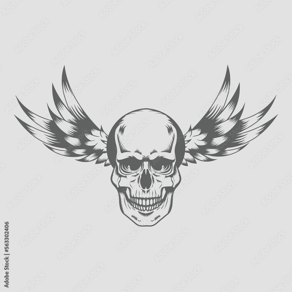 Vector human skull drawing, Human skull front view Illustration. Stock ...