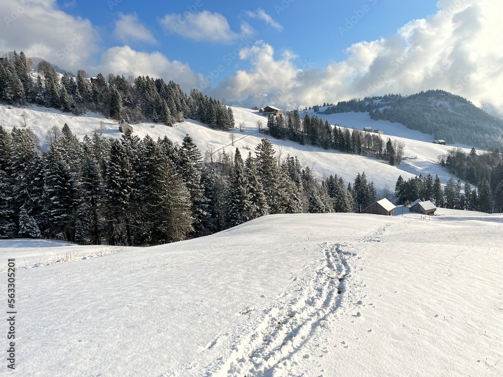 Wonderful winter hiking trails and traces over the Lake Walen or Lake ...