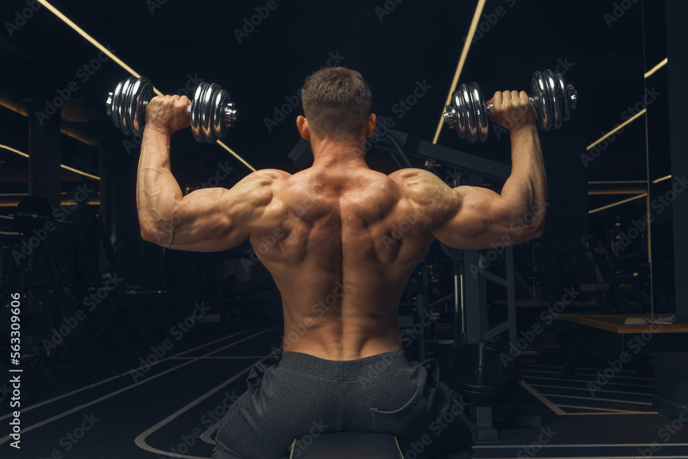 Muscular back. Athletic man lifts dumbbells in gym, view from back ...