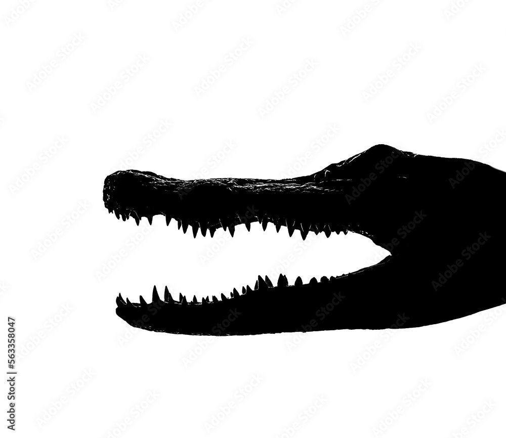 black silhouette of Crocodile head trophy. Dried caiman Crocodile Head ...