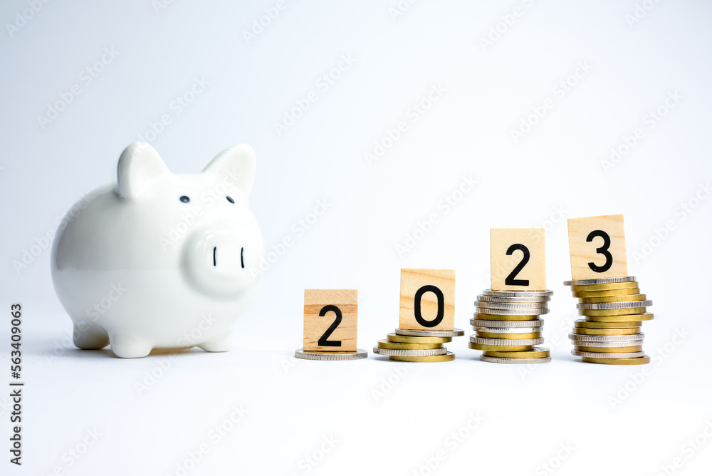 Pig piggy bank and coin stack on white background, saving concept ...