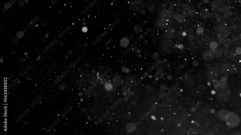 Video Stock Winter real snowfall effect Snow storm isolated black ...