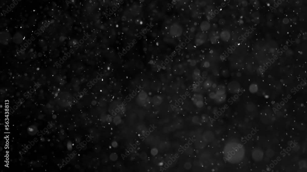 Winter real snowfall effect Snow storm isolated black background in 4K ...