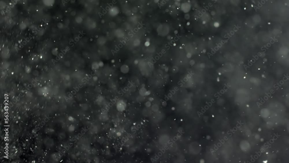 Winter real snowfall effect Snow storm isolated black background in 4K ...