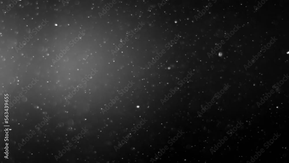 Winter real snowfall effect Snow storm isolated black background in 4K ...