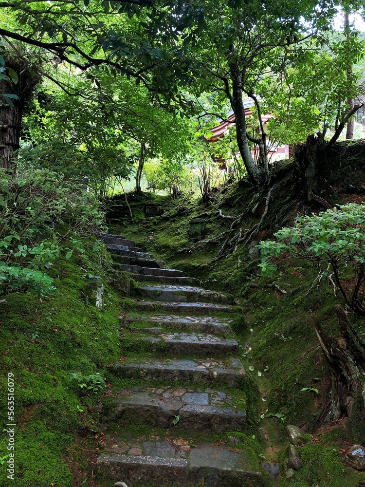 [Japan] Stone steps in the precincts of Jojakko-ji Temple (Sagano ...