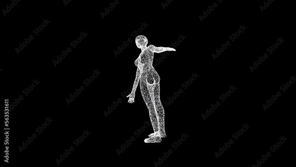 3D woman body model consisting of lines and dots rotates 3 axes 60 FPS ...