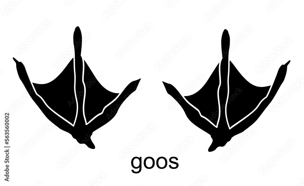 Goose footprint illustration, drawing, engraving, ink, line art, vector ...