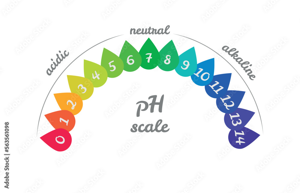 pH value scale chart for acid-alkaline solution. Acid-base balance ...