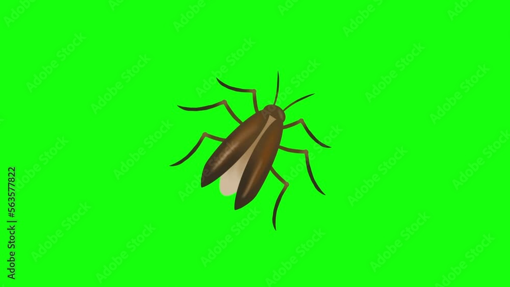 Stop insect, bugs and other pests 4k 2d animation, crossed out sign ...