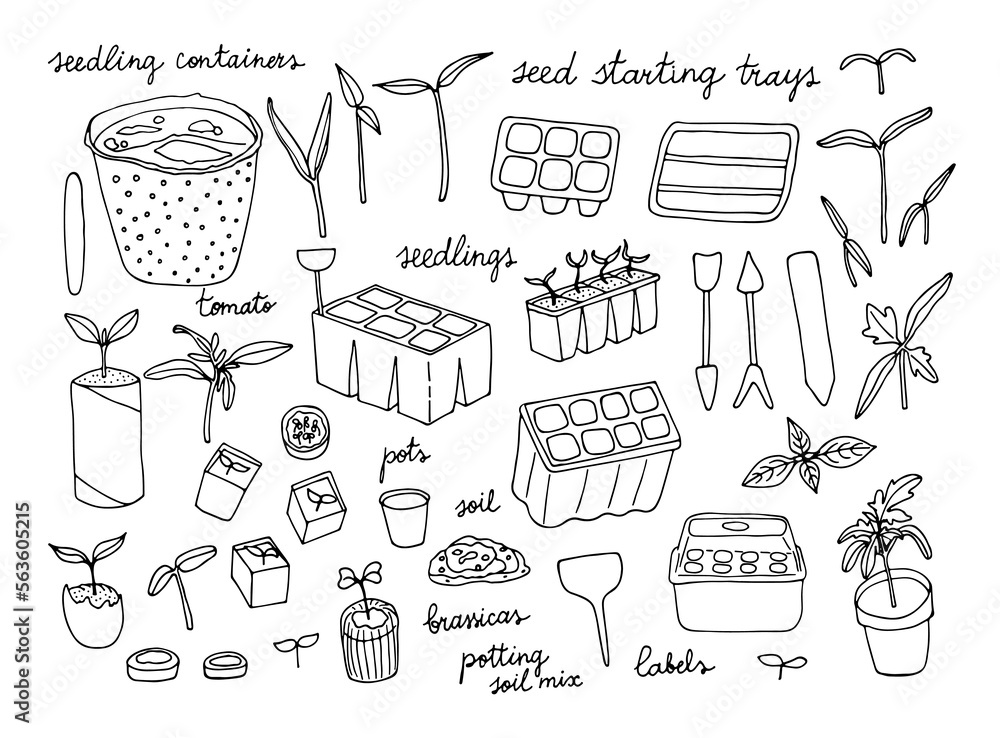 Seed starting set that includes different trays, pots, containers ... Seed starting set that includes different trays, pots, containers ...