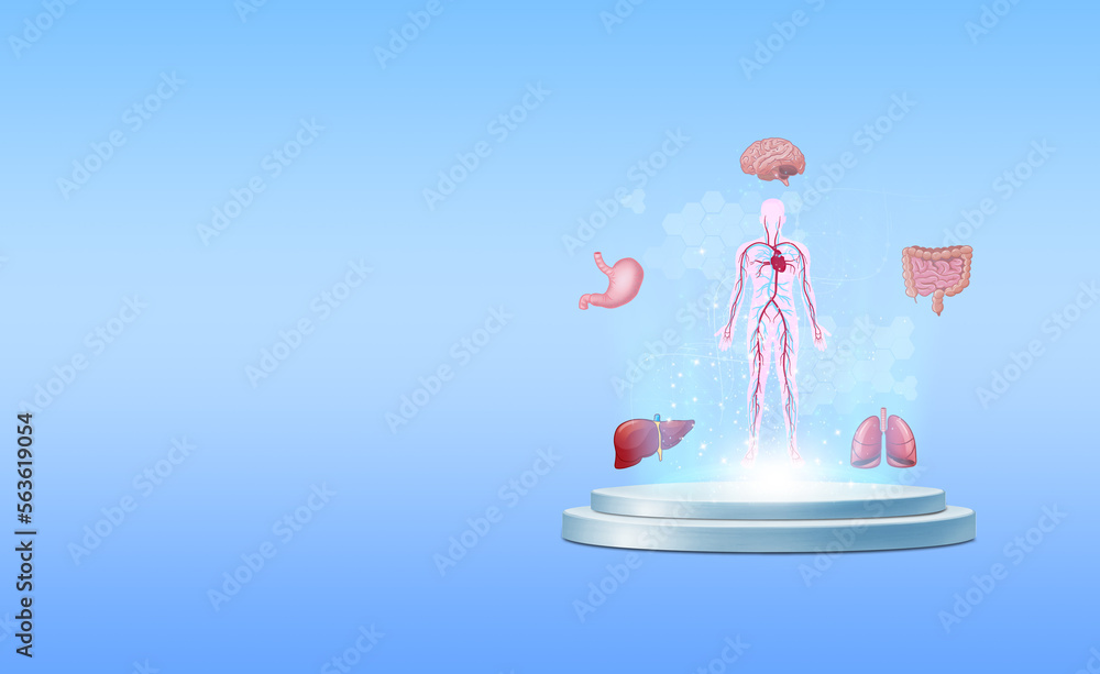 Human anatomy in 3D with database electronic medical record on network ...