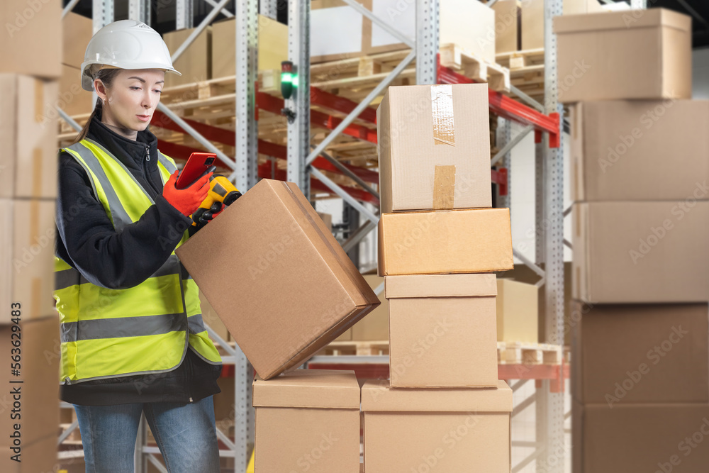 Customs officer woman. Girl with boxes in bonded warehouse. Customs ...
