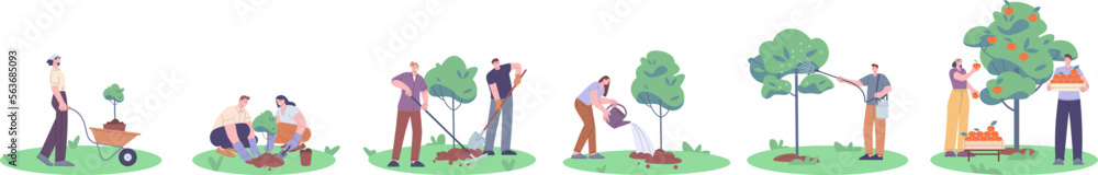 People planting and growth tree. Garden improvement, grow fruit plant ...