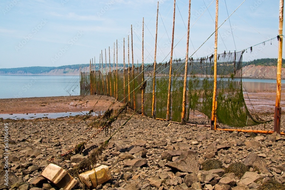 Anchor points of a fishing weir in the Minas Basin. Stock Photo | Adobe ...