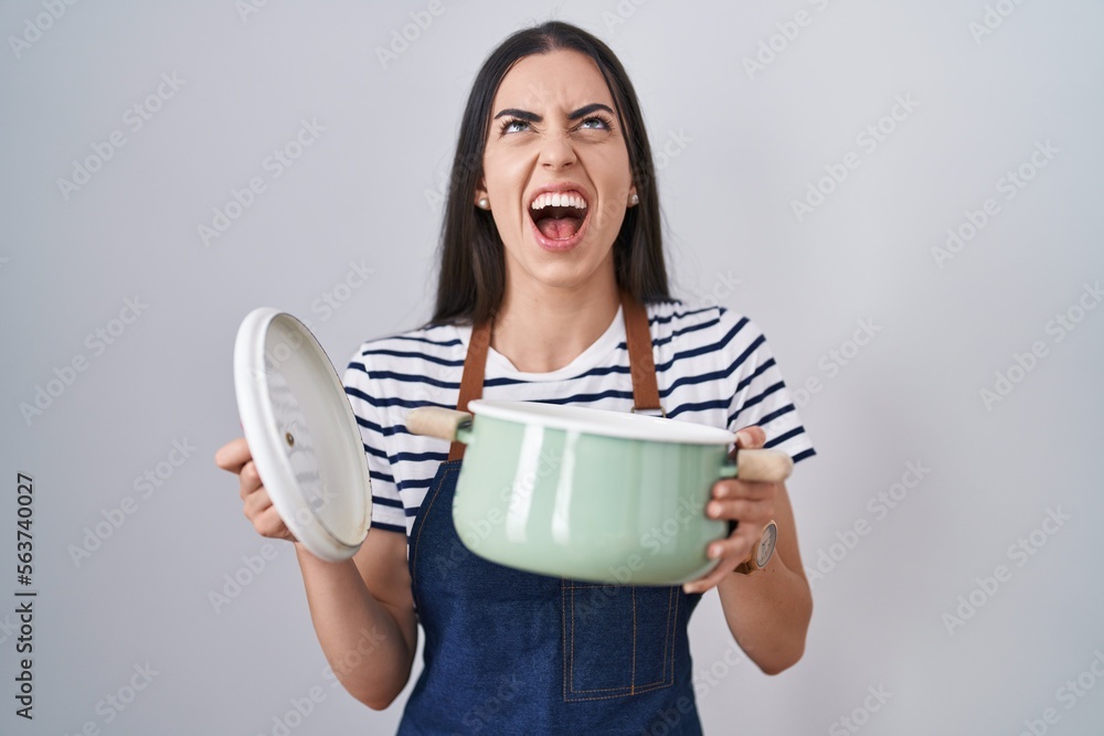 Young brunette woman wearing apron holding cooking pot angry and mad ...