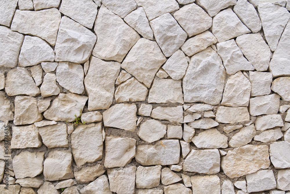 Dolomite Limestone