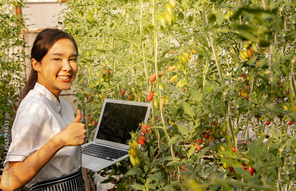Asian female chef working in hotel kitchen holding laptop pick produce ...
