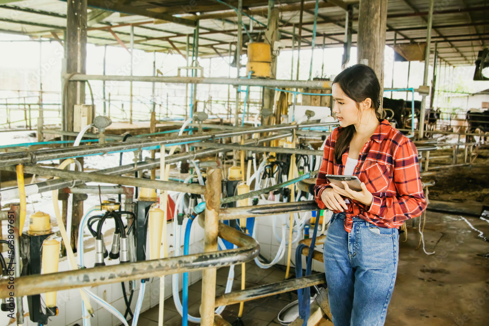 Foto de Asian female health worker holding tablet inspecting dairy farm ...