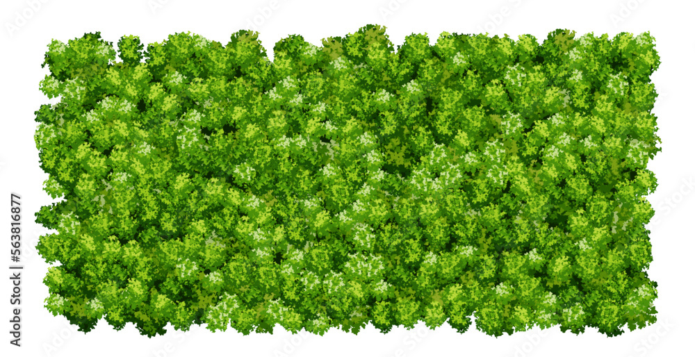 Garden Vector Wallpaper