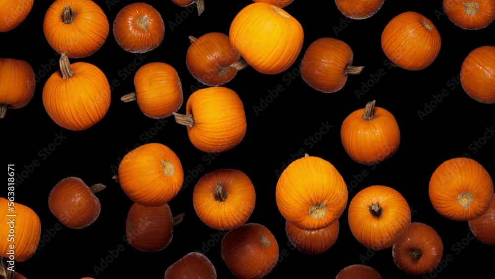 Looping animation featuring a cloud of Pumpkins floating in place on an ...