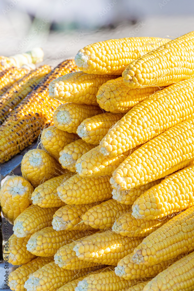 Stack of fresh corn ears in the street market, Istanbul. Pupular street ...