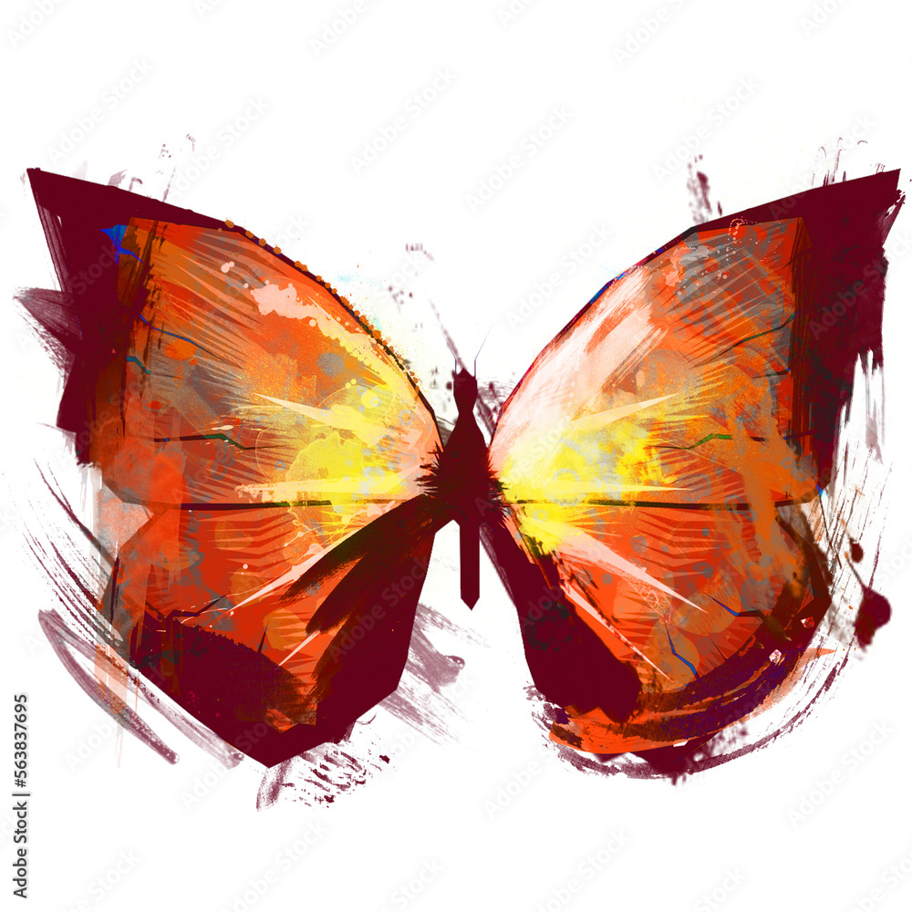 Watercolor Butterfly drawing, Painting of a butterfly, Watercolor ...