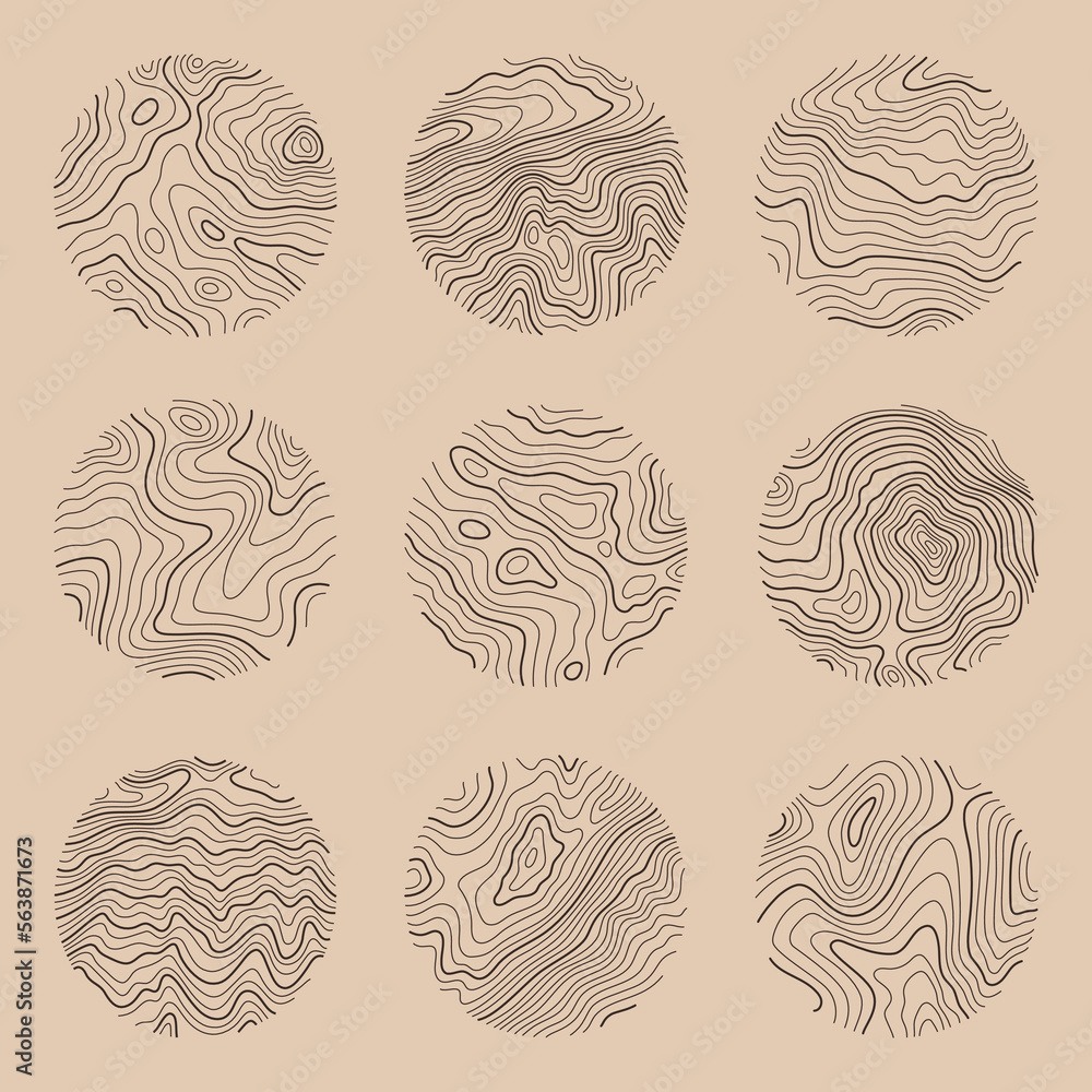 Set rings of topographic line map. Wood rings, vector line circle of ...