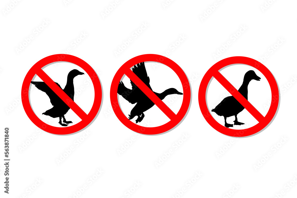 Warning sign no ducks vector design Stock Vector | Adobe Stock