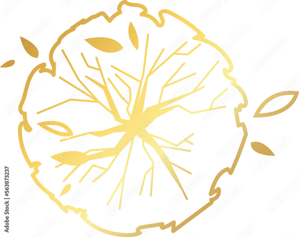 Golden tree, plant top view. Element for design logo, project. Tree set ...