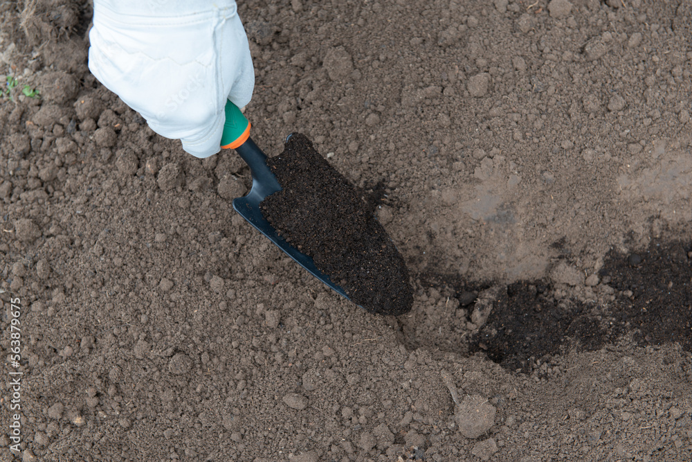 Adding humus to the soil, enriching with nutrients. Soil preparation ...