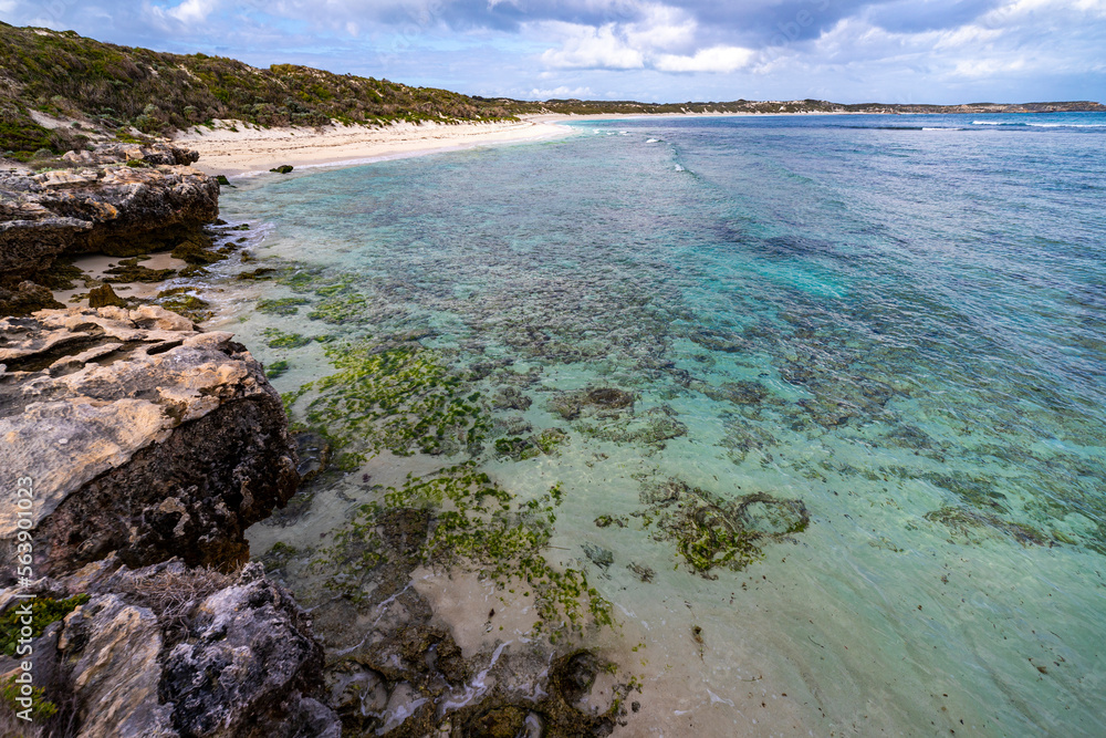 Foto de a panorama of paradise bay on rottnest island near perth in ...