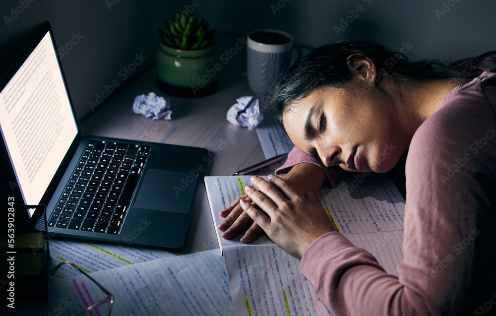 Sleeping Student At Computer