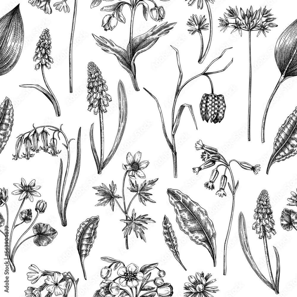 Hand-drawn wildflowers background design. Vintage woodland flowers ...