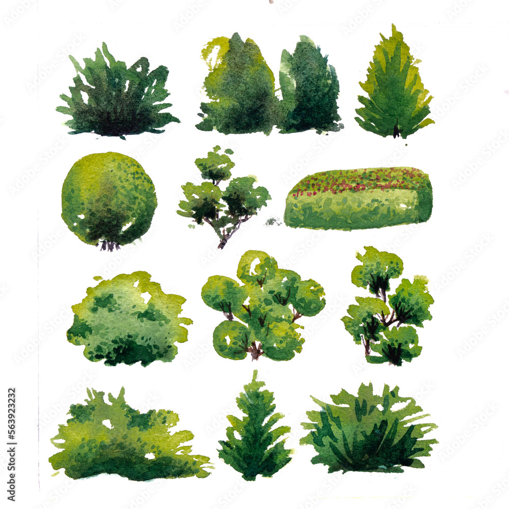 Collection plant shrub symbols of Landscape architect for decorate ...