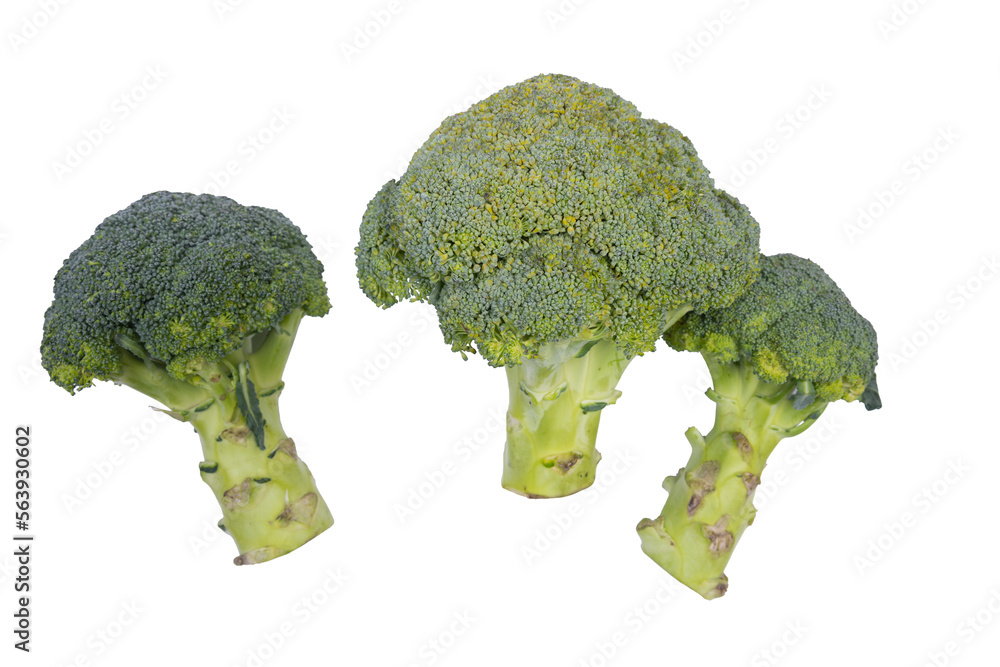 fresh green broccoli on transparent background photographed from above ...