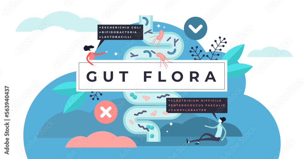 Gut flora illustration, transparent background.Flat tiny ...