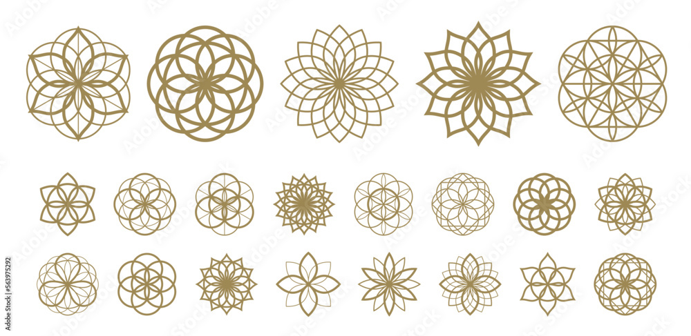 Flower Of Life Vector File | Best Flower Site